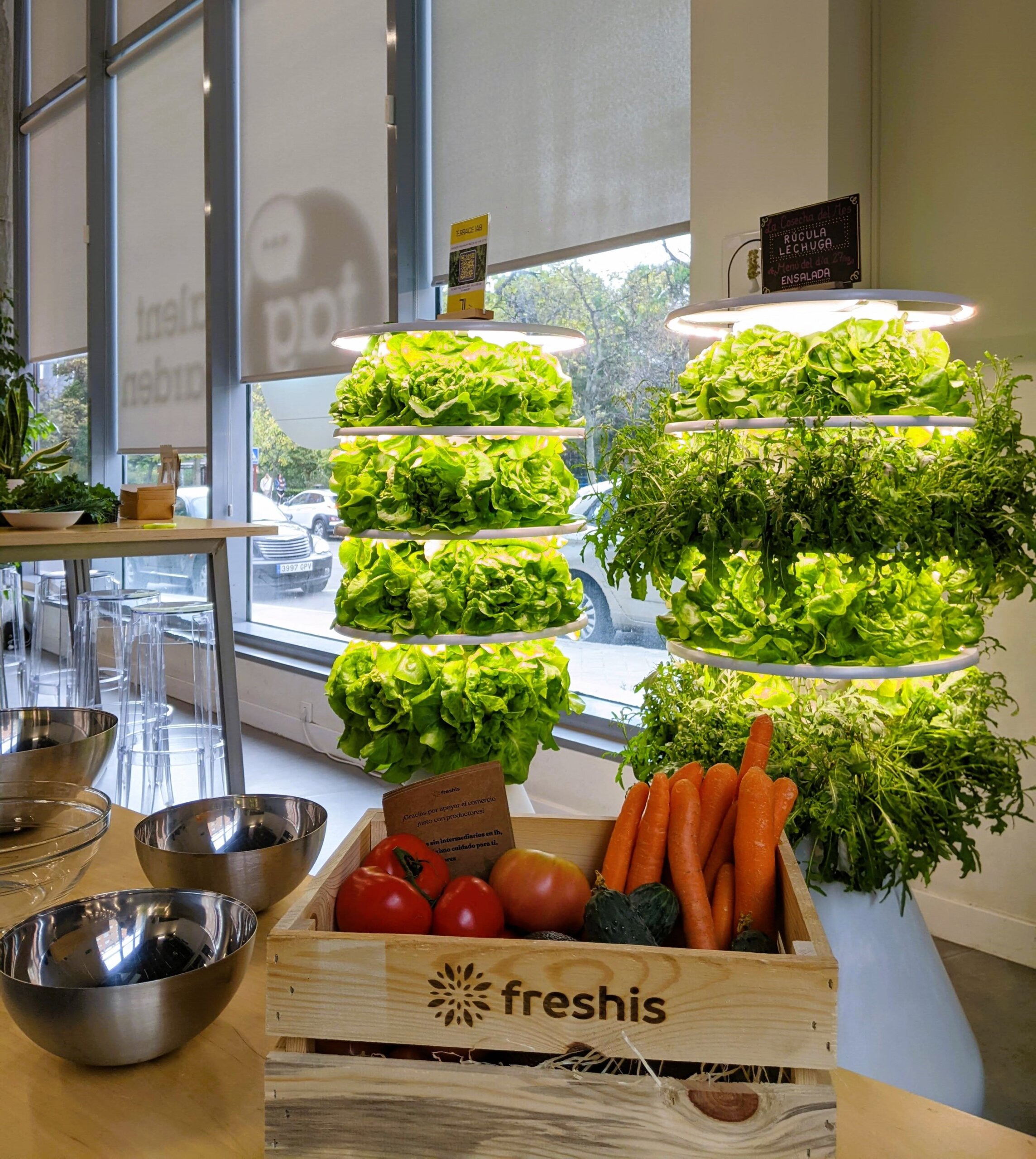 TerraceLab - MadBlue